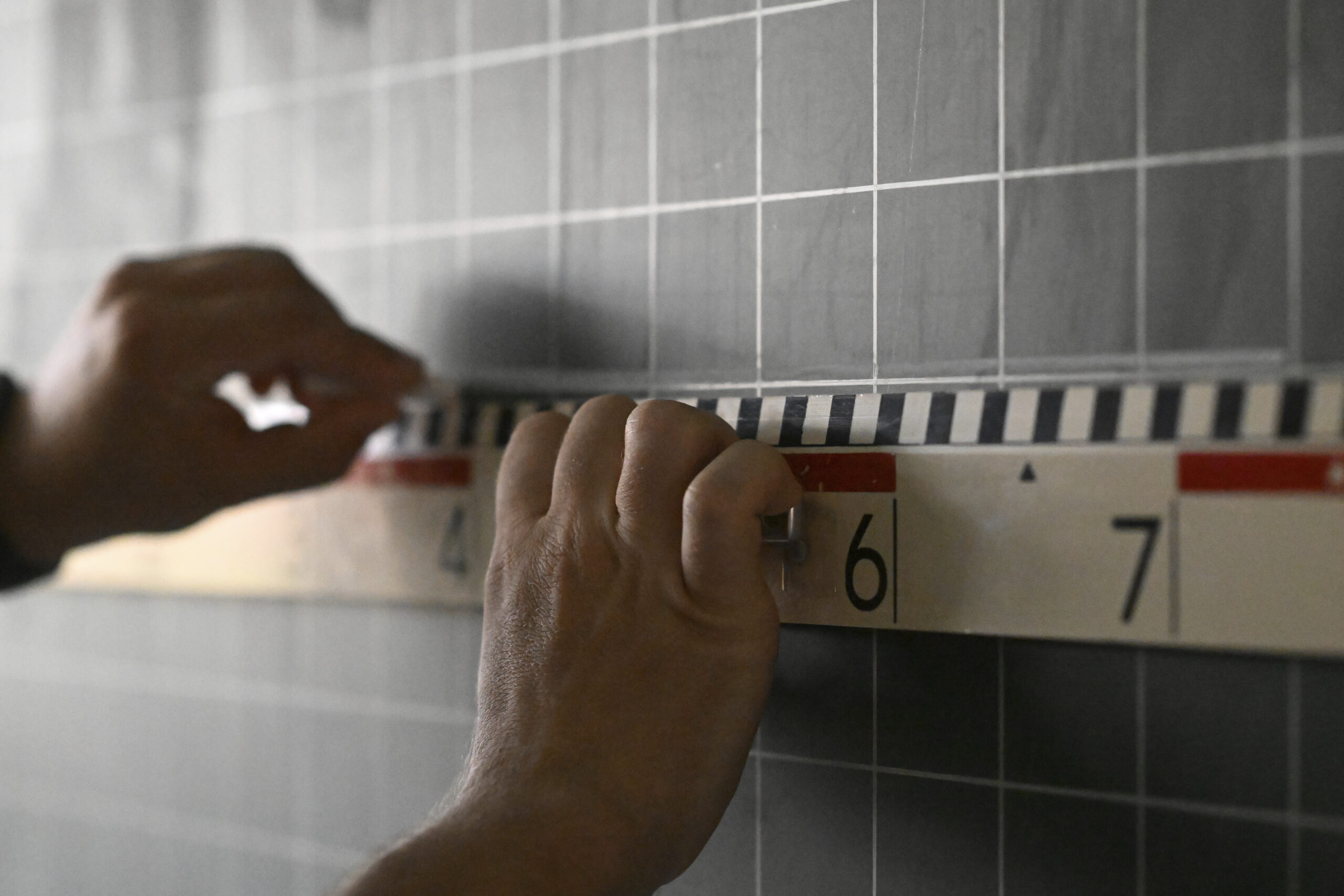 Unlock Academic Excellence with SBAE and Jordan Adams - School Boards ...